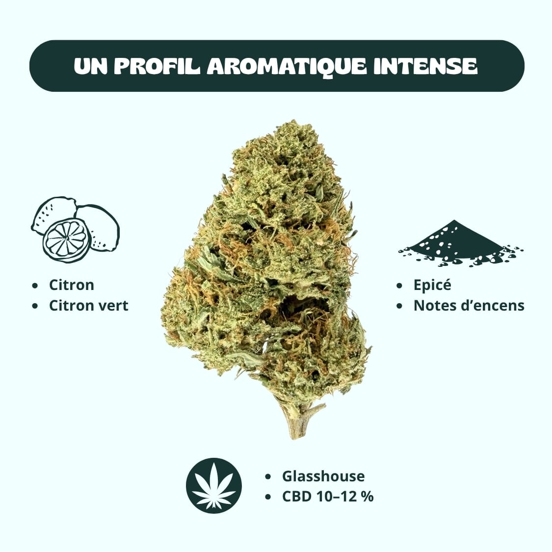 White Widow CBD Marie Jeanne | Fleur Glasshouse 10-12%