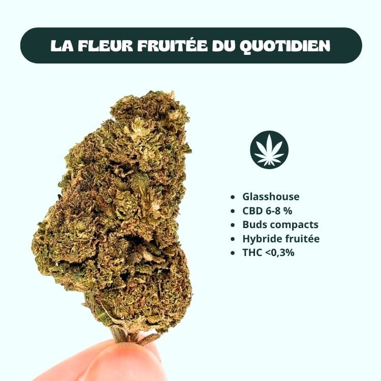 Strawberry CBD pas cher | Fleur CBD Glasshouse 6–8 % | Marie Jeanne CBD
