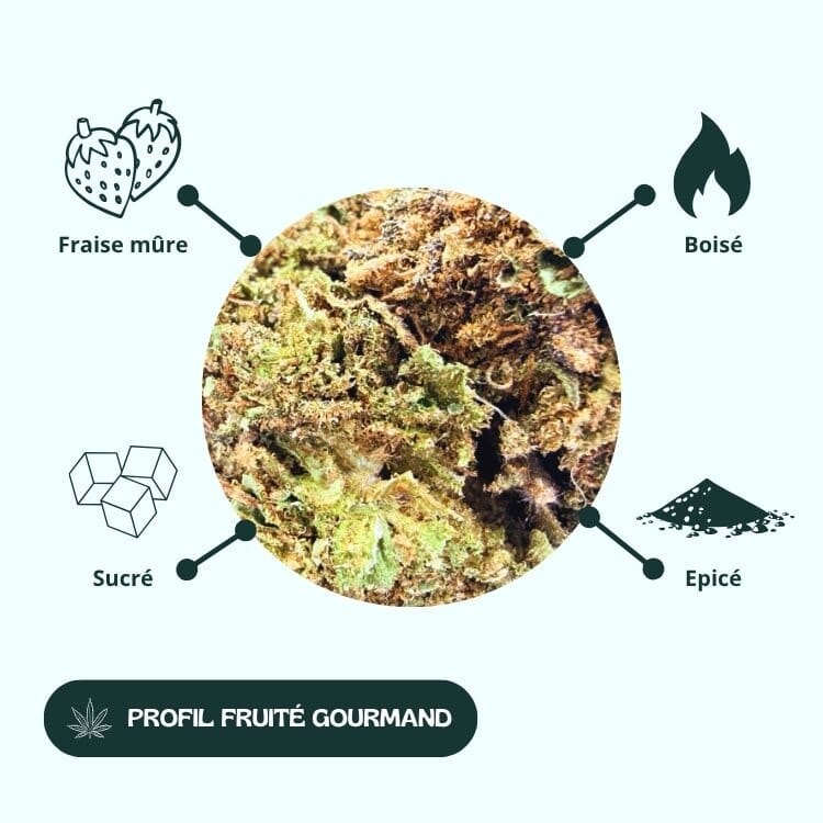 Strawberry CBD pas cher | Fleur CBD Glasshouse 6–8 % | Marie Jeanne CBD